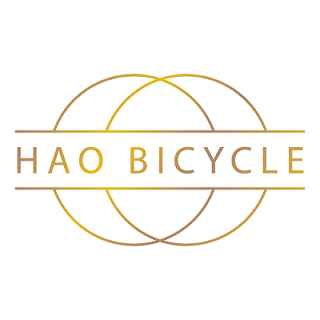 HAO BICYCLE – City Hall